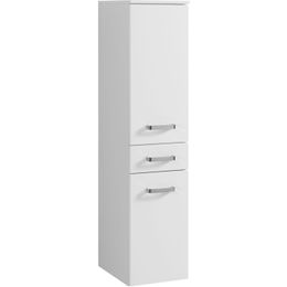 Held Midischrank 30 BOLOGNA