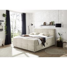 Boxbett WINNIPEG 6