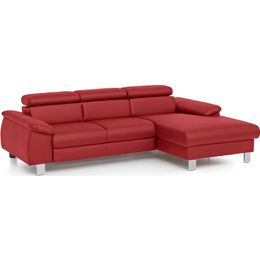 Ecksofa COTTA "Komaris L-Form, B: 244 cm", rot, B:244cm H:72cm T:166cm, Microfaser PRIMABELLE (100% Polyester);Kunstleder SOFTLUX(100%Polyurethan);Feinstruktur (100% Polyester);Kunstleder SOFTLUX/Struktur (100%Polyurethan, 90%Polyester, 10% Polyacryl), Sofas, Ecksofa, mit Kopfteilverstellung, optional Bettfunktion, Bettkasten & Licht