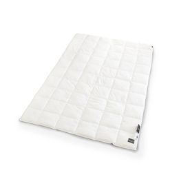 Kunstfaserbettdecke Stendebach "S-Loft Bettdecke, Allergiker geeignet (Hausstauballergiker)", beige (champagner), B:155cm L:220cm, Bezug: 100% Baumwolle. F&uuml;llung: 100% Polyester, Bettdecken, Bettdecke in 135x200 oder 155x220 cm, f&uuml;r Sommer oder Winter