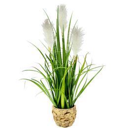 Kunstpflanze I.GE.A. "Pampasgras", wei&szlig;, B:20cm H:55cm L:20cm, Kunstpflanzen, Kunstpflanze, Mit &Uuml;bertopf, k&uuml;nstliches Pampas Gras