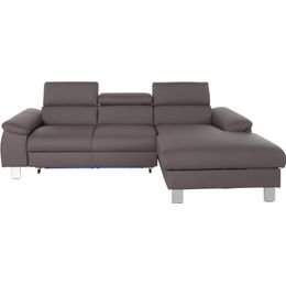Ecksofa COTTA "Komaris L-Form, B: 244 cm", elefant, B:244cm H:72cm T:166cm, Microfaser PRIMABELLE (100% Polyester);Kunstleder SOFTLUX(100%Polyurethan);Feinstruktur (100% Polyester);Kunstleder SOFTLUX/Struktur (100%Polyurethan, 90%Polyester, 10% Polyacryl), Sofas, Ecksofa, mit Kopfteilverstellung, optional Bettfunktion, Bettkasten & Licht