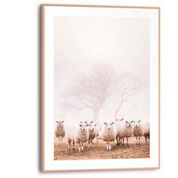 Poster Reinders "Schafe im Nebel", beige (farbe bild(er): beige), B:30cm H:40cm T:1,6cm, MDF, Bilder, Poster