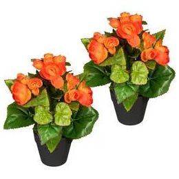 Kunstpflanze DELAVITA "Eleonore", orange, B:15cm H:24cm, Obermaterial: 50% Kunststoff, 50% Polyester, Kunstpflanzen, Kunstpflanze, im Topf, 2er Set