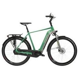 E-Bike KROSS "E-Citybike Damen Sentio 6.0 28" gr&uuml;n - Shimano Mittelmotor" Gr. 61, gr&uuml;n (gr&uuml;n, grau), Elektrofahrr&auml;der, 61cm, 28 Zoll (71,12cm), SHIMANO 36 V/250 W E6100, Mittelmotor