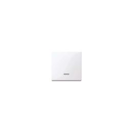 Merten Wippe Kontr.Fenster aws/gl f.Schal.Tast.Einsatz 436025)