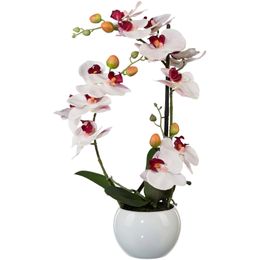 Kunstpflanze Creativ green "Phalaenopsis", rosa, H:42cm, Keramik, Kunststoff, Polyester, Kunstpflanzen, Kunstpflanze