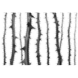 Fototapete ARCHITECTS PAPER "Atelier 47 Blurred Thorns 2", grau (dunkelgrau, wei&szlig;, hellgrau), B:4m L:2,7m, Vlies, Tapeten, Vlies, Wand, Schr&auml;ge, Decke