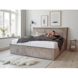 Polsterbett Collection AB "Marla erh&auml;ltlich in der Breite 180x200cm, mit Cordstoff bezogen", taupe, B:207cm H:118cm L:215cm, Betten, Polsterbett, wahlweise mit Lattenrost und King-Matratze (28cm)