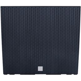 Blumenkasten Prosperplast "Rato Case", grau (anthrazit), B:58cm H:49,8cm T:18cm, Kunststoff, Pflanzgef&auml;&szlig;e, BxTxH: 58x18x49,8 cm, mit Einsatz