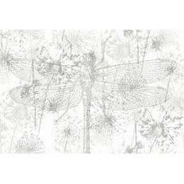 Fototapete ARCHITECTS PAPER "Atelier 47 Dragon Fly 2", grau (hellgrau, wei&szlig;, dunkelgrau), B:4m L:2,7m, Vlies, Tapeten, Vlies, Wand, Schr&auml;ge, Decke
