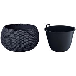 Pflanzk&uuml;bel Prosperplast "Splofy Bowl", grau (anthrazit), H:21cm &Oslash;:37cm, Kunststoff, Pflanzgef&auml;&szlig;e, Pflanzk&uuml;bel, &Oslash;xH: 37x21 cm