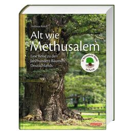 Alt wie Methusalem