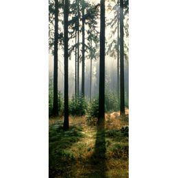 Fototapete papermoon "Forest - T&uuml;rtapete", bunt, B:0,9m L:2m, Vlies, Tapeten
