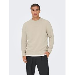 Only & Sons Strickpullover ONLY & SONS "ONSETHAN LIFE REG 7 CREW KNIT", Herren, Gr. L, silber (silber lining), Strick, Obermaterial: 100% Polyester, unifarben, Basic, regular fit normal, Rundhals, Rippb&uuml;ndchen, Pullover Strickpullover