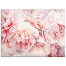 Wandbild Artland "Rosa Farbene Pfingstrosen Aquarell", farbe bild(er): pink, B:40cm H:30cm, Bilder, als Alubild, Leinwandbild, Poster, Wandaufkleber in verschied. Gr&ouml;&szlig;en