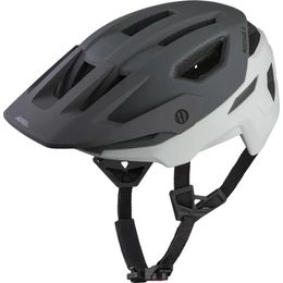 Alpina Rootage 2 MTB-Helm midnight grey smoke matt S/M (52-56 cm)