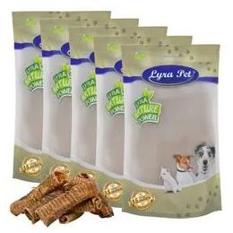 5 kg LYRA PET&reg; Rinderstrossen mittel