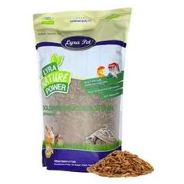 5 kg LYRA PET&reg; Soldatenfliegenlarven