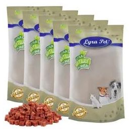 5 kg LYRA PET&reg; Entenfleischw&uuml;rfel mit Fisch
