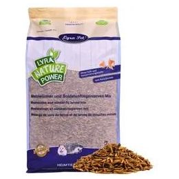 5 kg LYRA PET&reg; Mehlw&uuml;rmer-/Soldatenfliegenlarven-Mix