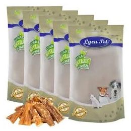 5 kg LYRA PET&reg; Rindernackensehnen klein