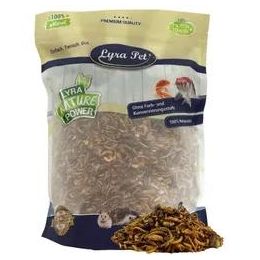 1 kg LYRA PET&reg; Protein Boost Insekten Mix - mit Mehlw&uuml;rmern, Shrimps & Grash&uuml;pfern