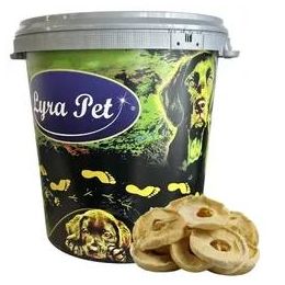 5 kg LYRA PET&reg; &Auml;pfel getrocknet in 30 L Tonne