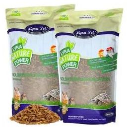 10 kg LYRA PET&reg; Soldatenfliegenlarven