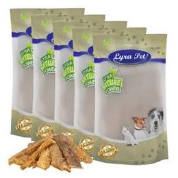 5 kg LYRA PET&reg; Rindernackensehnen gro&szlig;