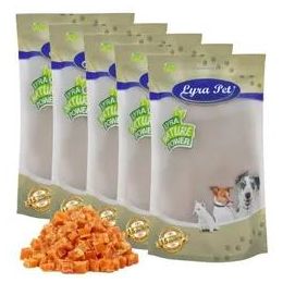 5 kg LYRA PET&reg; H&uuml;hnerfleischw&uuml;rfel mit Fisch