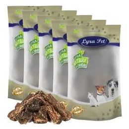 5 kg LYRA PET&reg; Rindereuter