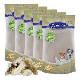 5 kg LYRA PET&reg; Kaninchenpfoten mit Fell