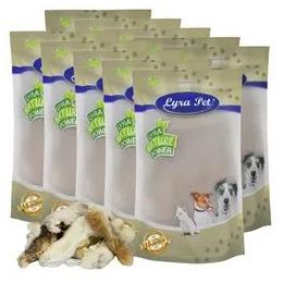 10 kg LYRA PET&reg; Kaninchenpfoten mit Fell