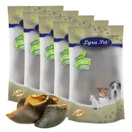 75 Stk. LYRA PET&reg; Rinderhufe ca. 6 kg