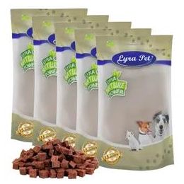 5 kg LYRA PET&reg; Lammfleischw&uuml;rfel