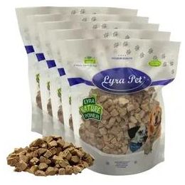 1 kg (5 x 200 g) LYRA PET&reg; Entenleberw&uuml;rfel gefriergetrocknet