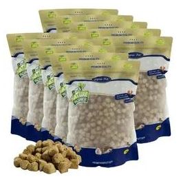 10 kg LYRA PET&reg; Artemia W&uuml;rfel gefriergetrocknet