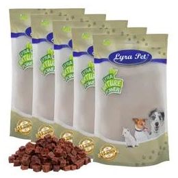 5 kg LYRA PET&reg; Rindfleischw&uuml;rfel
