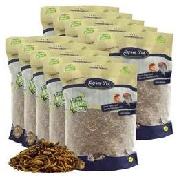 10 kg LYRA PET&reg; Protein Boost Insekten Mix - mit Mehlw&uuml;rmern, Shrimps & Grash&uuml;pfern
