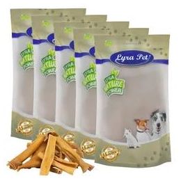 5 kg LYRA PET&reg; Rinderkopfhaut hellbraun, hell