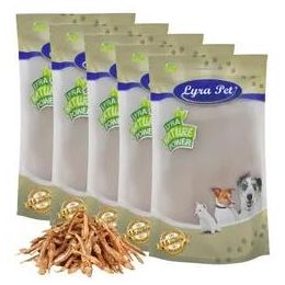 5 kg LYRA PET&reg; Kleine Fische