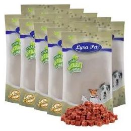 10 kg LYRA PET&reg; Entenfleischw&uuml;rfel mit Fisch