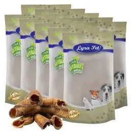 10 kg LYRA PET&reg; Rinderstrossen gro&szlig;