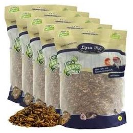 5 kg LYRA PET&reg; Protein Boost Insekten Mix - mit Mehlw&uuml;rmern, Shrimps & Grash&uuml;pfern