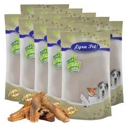 10 kg LYRA PET&reg; Rinderkopfhaut goldbraun, dunkel