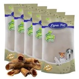 5 kg LYRA PET&reg; Rinderstrossen gro&szlig;