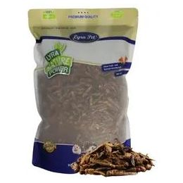 1 kg LYRA PET&reg; Heuschrecken getrocknet