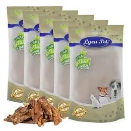 5 kg LYRA PET&reg; Rinderlunge