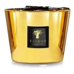 Baobab COLLECTION Baobab Duftkerze Max One Aurum